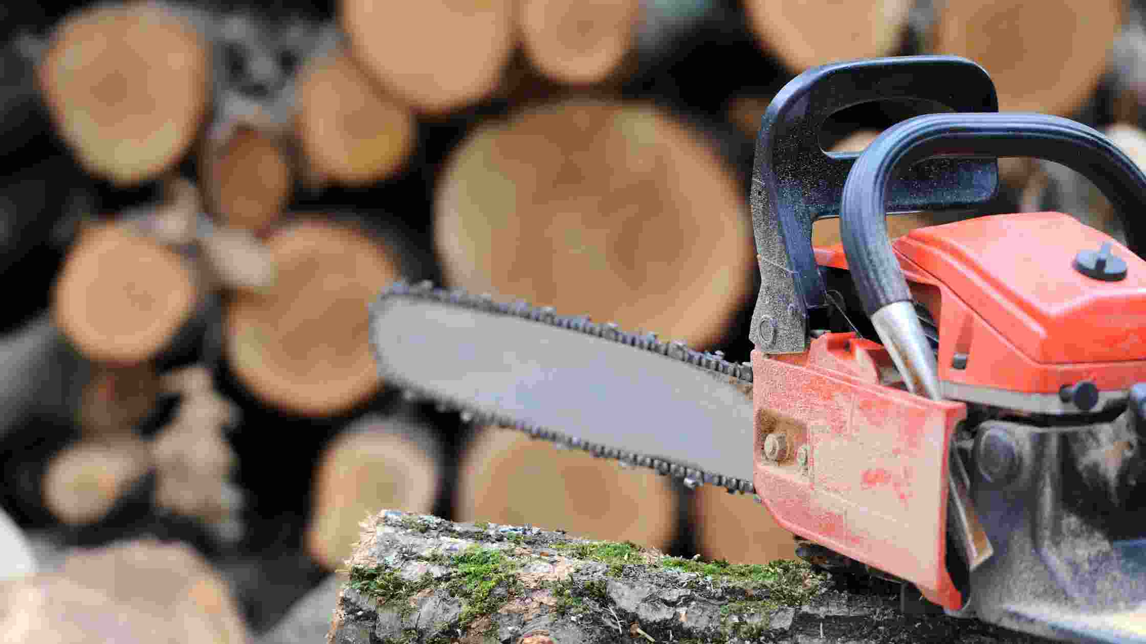 Best 20 Inch Gas Chainsaw: Top 5 Picks for 2025 - SkilledHub