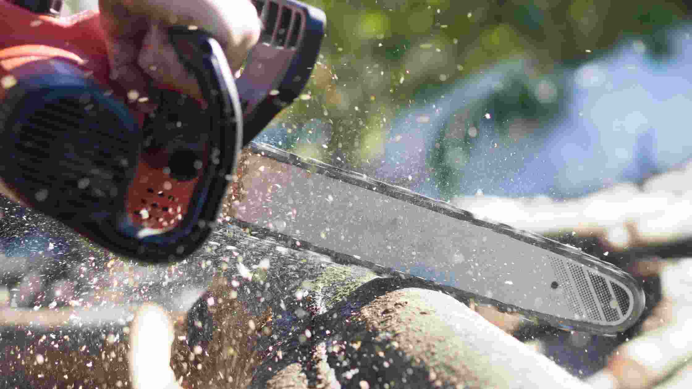 Best Makita Chainsaw: Top 3 Picks for 2025 - SkilledHub