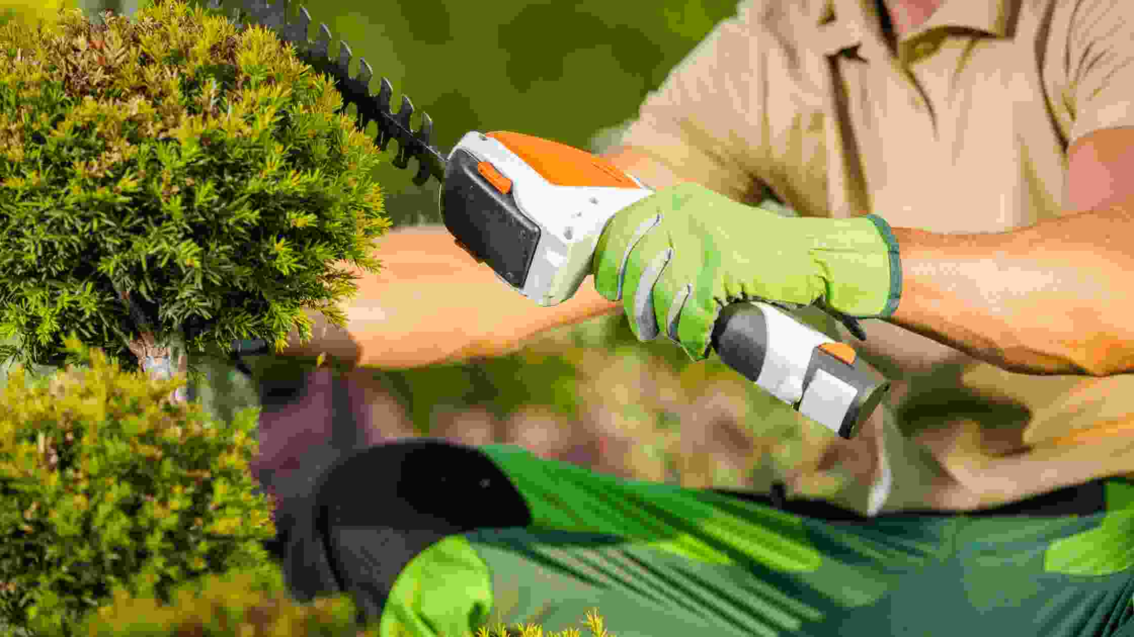 Best Mini Hedge Trimmer for Small Gardens: Top 5 Picks for 2025 ...