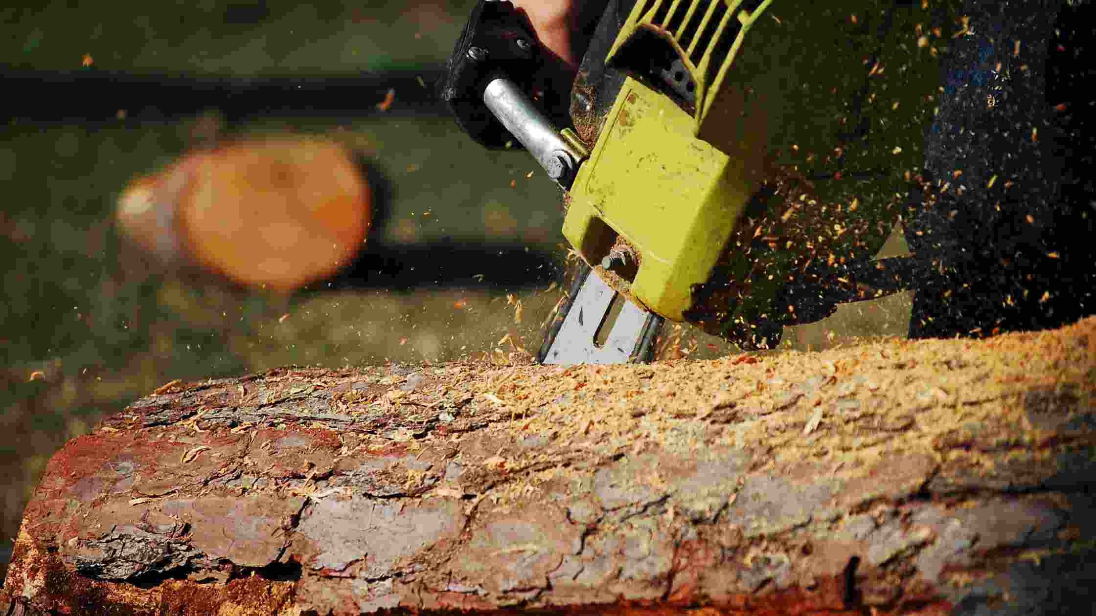 Best Ryobi Chainsaw: Top 5 Picks for Power and Durability in 2024 ...